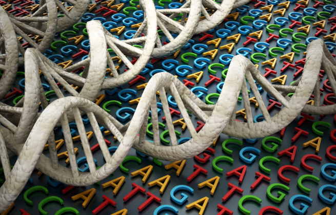 Badanie WES COMPLEX - zmieniamy lata diagnozy w dni!