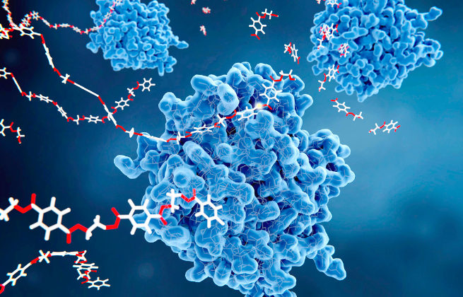 Enzymy i biomarkery sprawdzane w badaniu WES COMPLEX